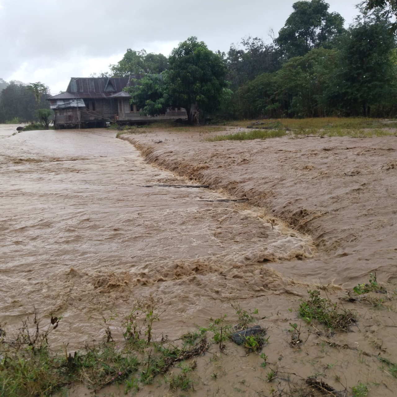BNPB Catat 25 Kejadian Bencana dalam Dua Hari, Karhutla Masih Dominasi - Vibizmedia.com